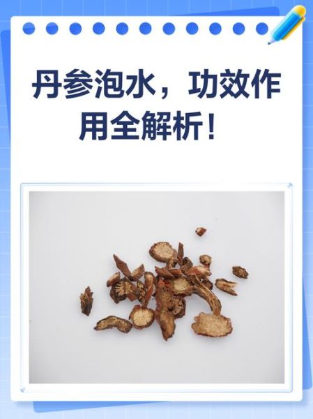 丹参泡水喝的功效与作用_丹参泡水喝的正确方法-第3张图片-山城妙识