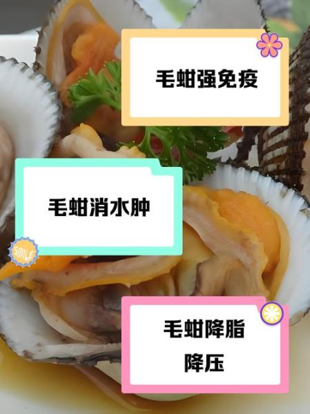 毛蚶子的营养价值_毛蚶子有哪些功效-第1张图片-山城妙识