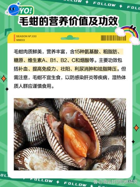 毛蚶子的营养价值_毛蚶子有哪些功效-第2张图片-山城妙识