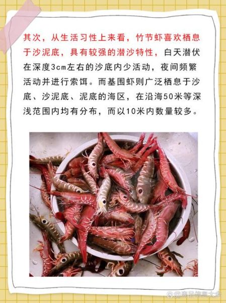 竹节虾是河虾还是海虾_竹节虾产地与口感区别-第1张图片-山城妙识