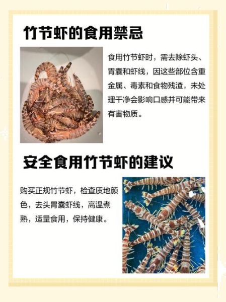 竹节虾是河虾还是海虾_竹节虾产地与口感区别-第3张图片-山城妙识