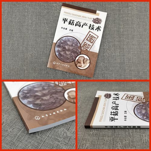 平菇种植技术与管理_如何提高产量-第2张图片-山城妙识