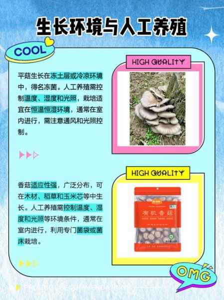 平菇种植技术与管理_如何提高产量-第3张图片-山城妙识