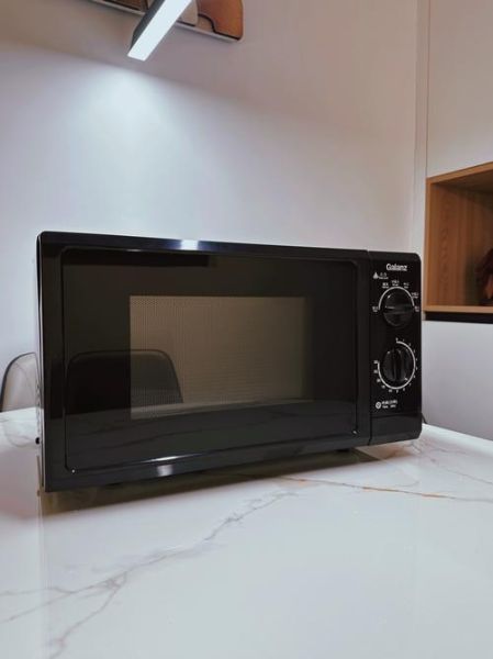 光波炉和微波炉哪种好_哪个更适合家用-第3张图片-山城妙识