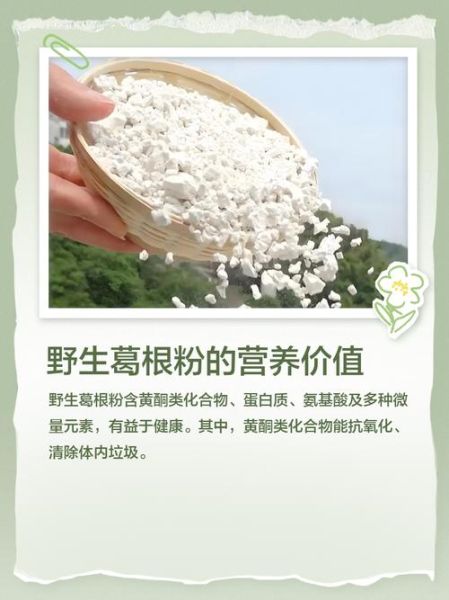 野葛根粉的功效与作用_野葛根粉怎么吃效果最好-第2张图片-山城妙识