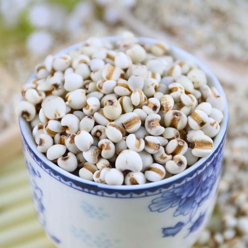 薏米长什么样_薏米图片大全怎么找-第3张图片-山城妙识