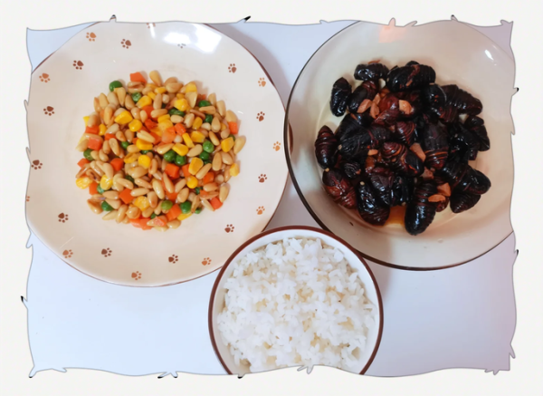 成袋松仁玉米怎么做好吃_松仁玉米袋装做法窍门-第3张图片-山城妙识