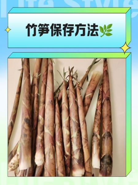 竹笋长期保存方法_新鲜竹笋怎么放一年不坏-第2张图片-山城妙识 竹笋长期保存方法_新鲜竹笋怎么放一年不坏-第2张图片-山城妙识
