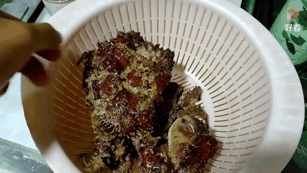 石头蟹为什么没人吃_石头蟹能吃吗-第3张图片-山城妙识