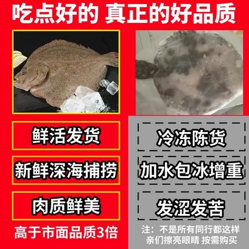 鸦片鱼市场价多少一斤_鸦片鱼多少钱一斤-第2张图片-山城妙识