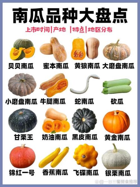 南瓜品种有哪些_南瓜怎么挑选-第1张图片-山城妙识