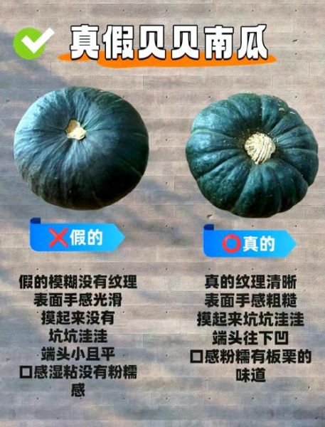 南瓜品种有哪些_南瓜怎么挑选-第2张图片-山城妙识