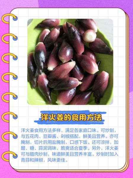 洋火姜的功效与作用_洋火姜怎么吃效果最好-第2张图片-山城妙识 洋火姜的功效与作用_洋火姜怎么吃效果最好-第2张图片-山城妙识