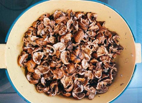 琥珀核桃怎么做_琥珀核桃失败原因-第3张图片-山城妙识