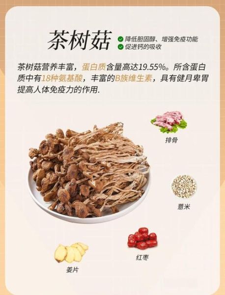 茶树菇排骨汤的营养价值_茶树菇排骨汤的功效与作用-第2张图片-山城妙识
