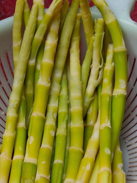 芦笋需要去皮吗_芦笋去皮技巧-第1张图片-山城妙识