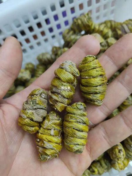 铁皮枫斗多少钱一斤_铁皮枫斗价格为什么这么贵-第1张图片-山城妙识