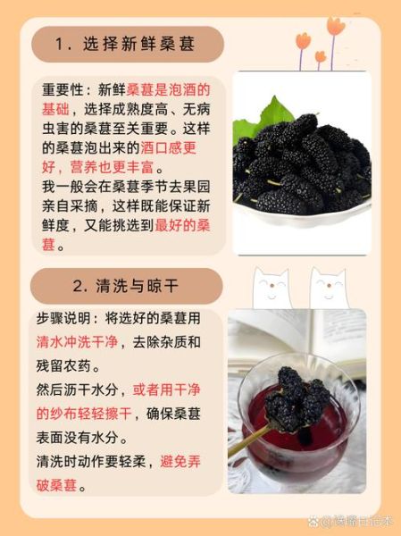 桑葚酒的功效与作用_桑葚酒怎么泡才正确-第1张图片-山城妙识 桑葚酒的功效与作用_桑葚酒怎么泡才正确-第1张图片-山城妙识