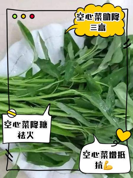 空心菜叶的功效与作用_空心菜叶可以生吃吗-第1张图片-山城妙识