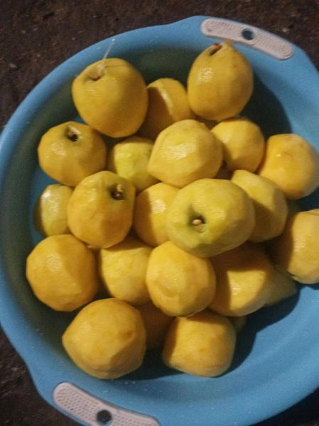 自制黄桃罐头怎么做_保存多久不会坏-第1张图片-山城妙识 自制黄桃罐头怎么做_保存多久不会坏-第1张图片-山城妙识