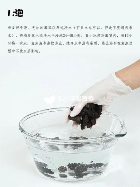 保温杯泡发海参的正确方法_海参泡发多久才软-第2张图片-山城妙识 保温杯泡发海参的正确方法_海参泡发多久才软-第2张图片-山城妙识