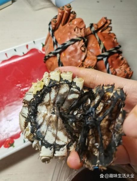 母螃蟹里面黑黑的浆糊是什么_能不能吃-第3张图片-山城妙识 母螃蟹里面黑黑的浆糊是什么_能不能吃-第3张图片-山城妙识