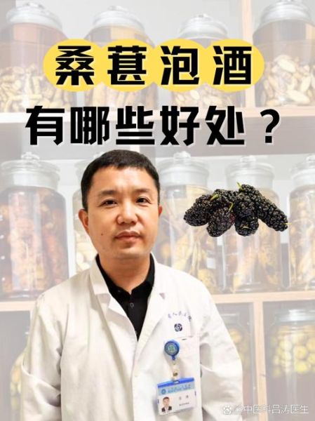 桑葚子泡酒的功效与作用_桑葚子泡酒怎么泡才正确-第1张图片-山城妙识 桑葚子泡酒的功效与作用_桑葚子泡酒怎么泡才正确-第1张图片-山城妙识