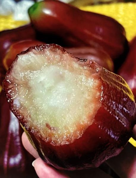 糖尿病能吃莲雾吗_莲雾升糖指数高吗-第3张图片-山城妙识 糖尿病能吃莲雾吗_莲雾升糖指数高吗-第3张图片-山城妙识