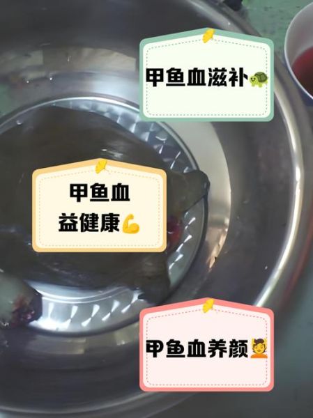 甲鱼血怎么吃才安全_甲鱼血正确吃法-第2张图片-山城妙识