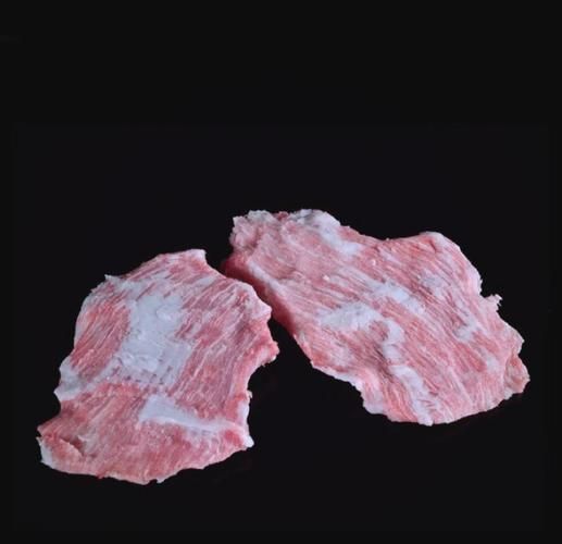 松板肉为什么不能吃_松板肉真的有毒吗-第3张图片-山城妙识