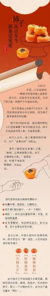 柿子吃了有什么好处_柿子吃多了会怎样-第3张图片-山城妙识