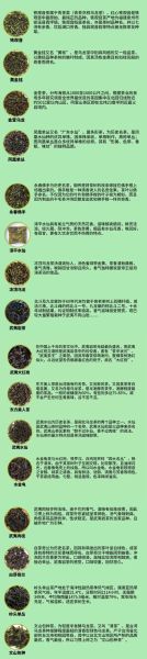 乌龙茶是什么茶_乌龙茶有哪些种类-第1张图片-山城妙识