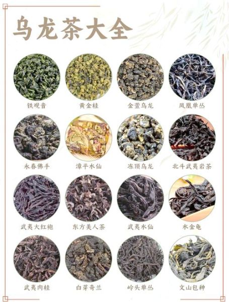 乌龙茶是什么茶_乌龙茶有哪些种类-第2张图片-山城妙识