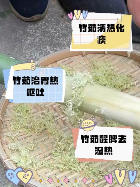 竹茹的功效与作用_竹茹泡水喝的禁忌-第2张图片-山城妙识