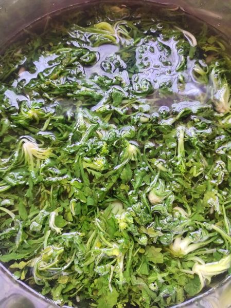 荠菜馅饺子怎么调馅_荠菜饺子馅怎么做好吃-第1张图片-山城妙识