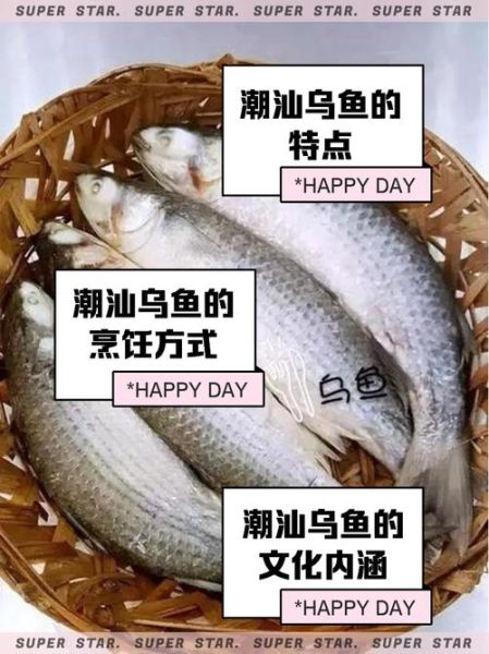 乌鱼影视免费追剧大全怎么用_乌鱼影视最新地址在哪-第1张图片-山城妙识