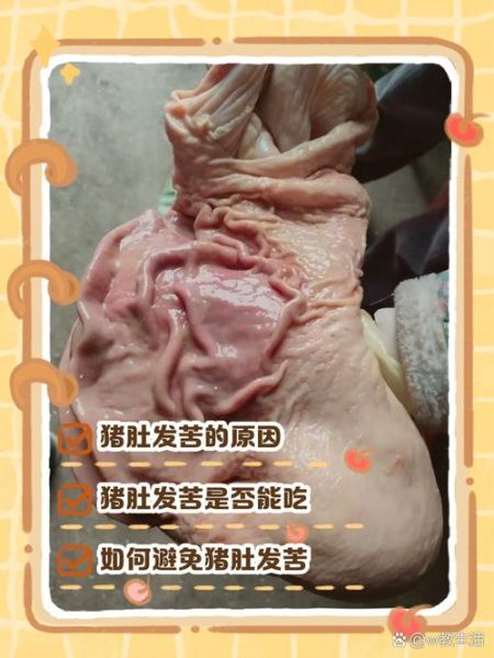 猪肚汤苦是怎么回事_如何去除苦味-第3张图片-山城妙识