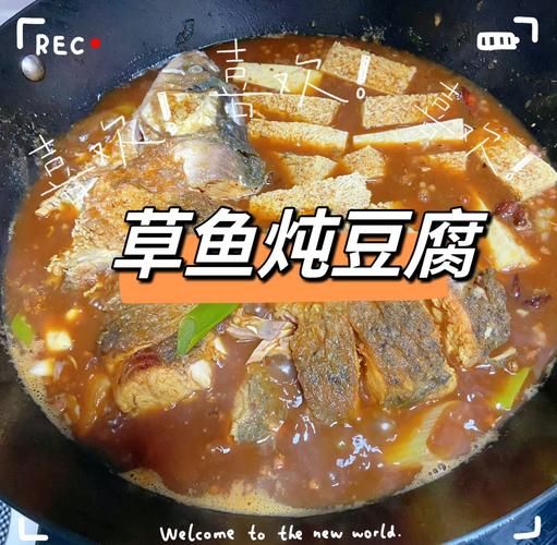 炖水豆腐的家常做法_水豆腐怎么炖入味-第2张图片-山城妙识 炖水豆腐的家常做法_水豆腐怎么炖入味-第2张图片-山城妙识