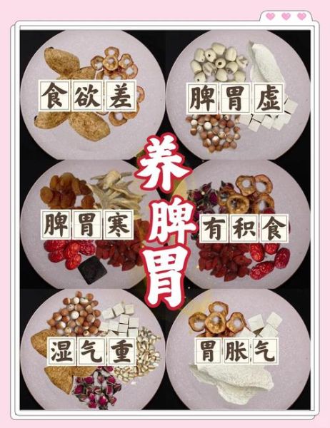 养胃茶饮有哪些_养胃茶怎么喝不伤胃-第3张图片-山城妙识