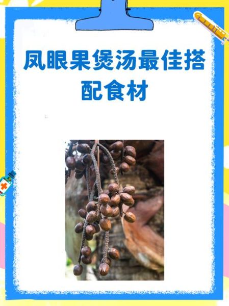 凤眼果煲汤搭配什么食材_凤眼果煲汤的功效与禁忌-第3张图片-山城妙识