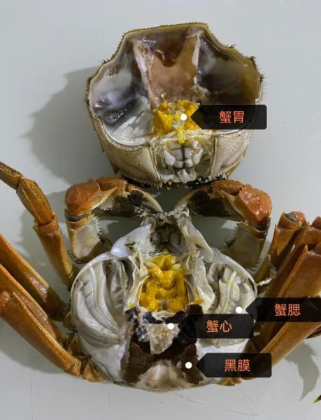 大闸蟹什么人不能吃_孕妇痛风患者能吃吗-第1张图片-山城妙识