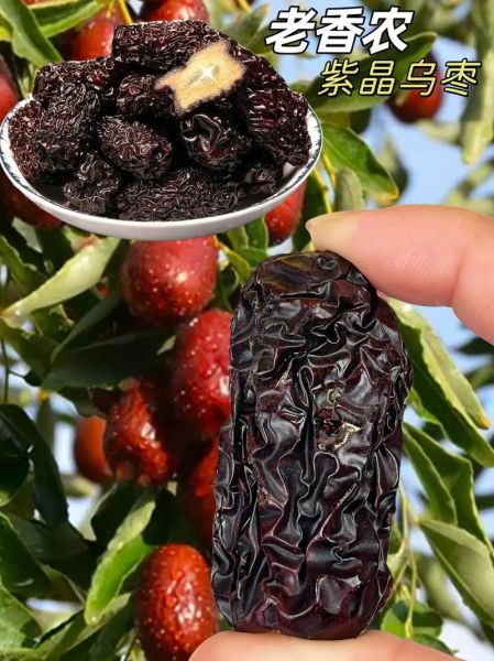 乌枣和黑枣的区别_哪个营养价值更高-第3张图片-山城妙识 乌枣和黑枣的区别_哪个营养价值更高-第3张图片-山城妙识