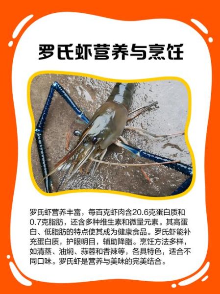 罗氏虾的危害有哪些_罗氏虾吃多了会怎样-第1张图片-山城妙识