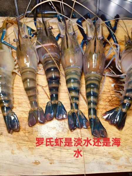 罗氏虾的危害有哪些_罗氏虾吃多了会怎样-第2张图片-山城妙识