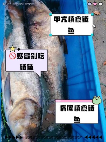 花鲢鱼什么人不能吃_花鲢鱼禁忌人群-第2张图片-山城妙识