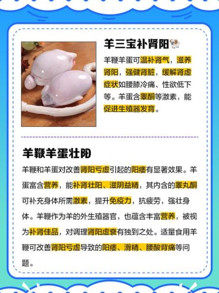 羊鞭和羊蛋哪个最壮阳_男人吃哪个效果更好-第1张图片-山城妙识