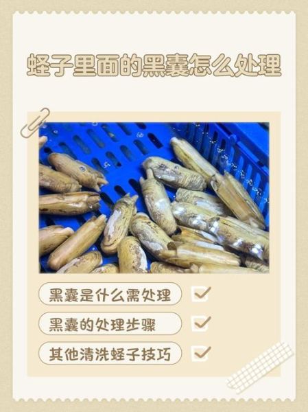 蛏子哪个部位不能吃_蛏子内脏怎么清理-第2张图片-山城妙识