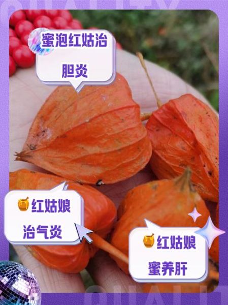 红姑娘的功效与作用_红姑娘怎么吃好-第2张图片-山城妙识 红姑娘的功效与作用_红姑娘怎么吃好-第2张图片-山城妙识
