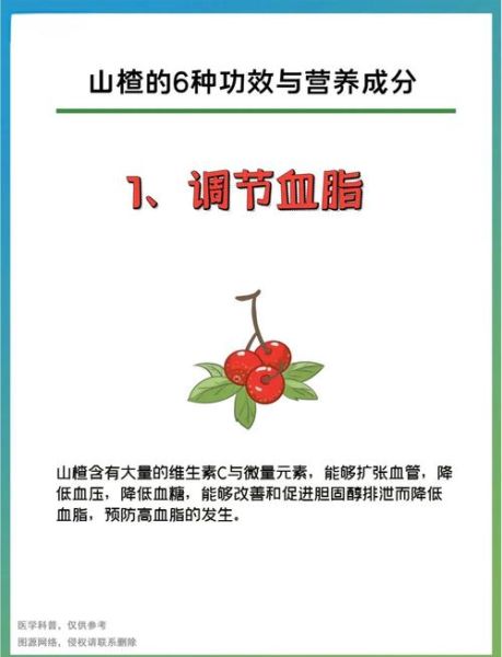 山楂的功效与作用_山楂的禁忌人群-第2张图片-山城妙识