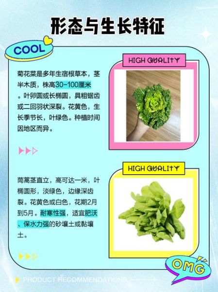 蒿菜和茼蒿的区别_哪个更好吃-第1张图片-山城妙识